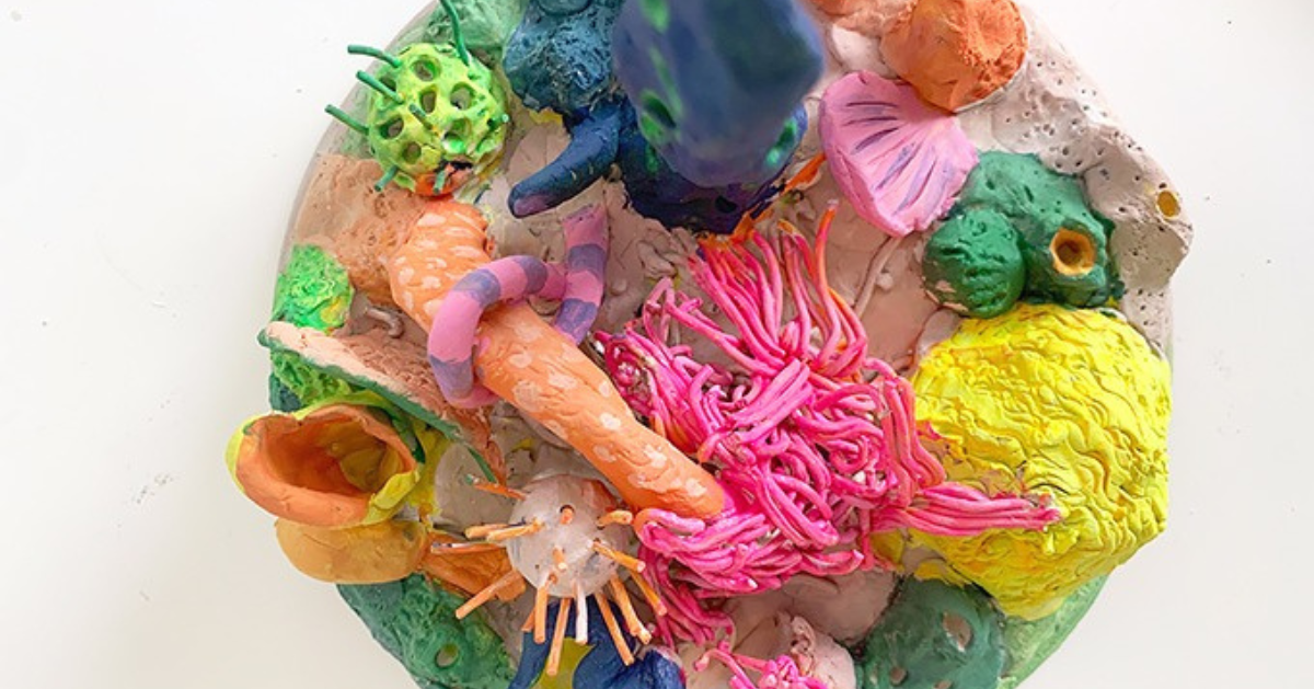How to Make a Coral Reef with Clay