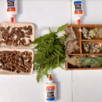 How to Make a Nature Collage for Kids - The Artful Parent