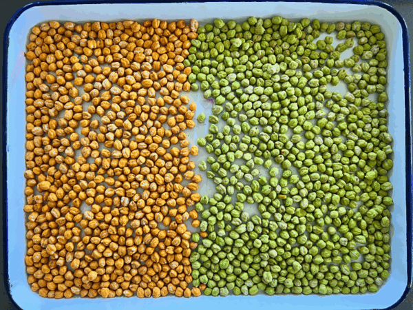 How to Dye Chickpeas for Sensory Play - The Artful Parent