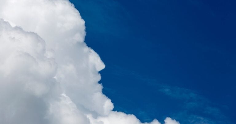 The human brain has a dedicated region called the fusiform face area ...